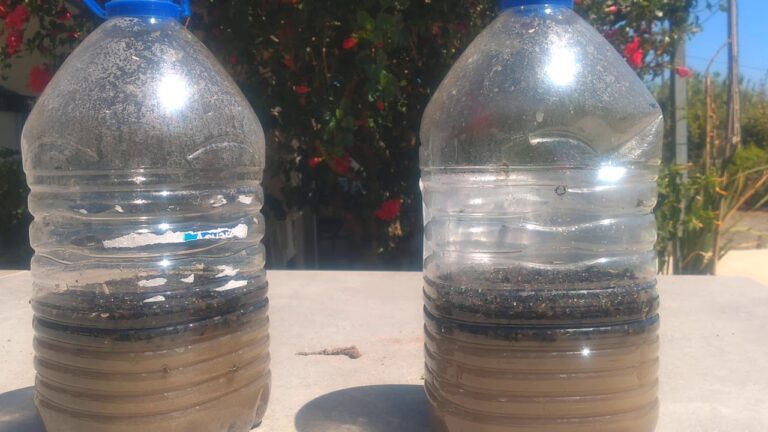 Cómo usar agua con azúcar para atraer y eliminar moscas de forma ...