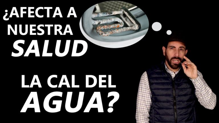Cómo Preparar un Vaso de Agua con Cal: Beneficios y Usos Esenciales ...
