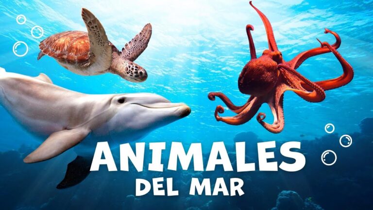 Los 10 Animales que Nadan en el Agua: Descubre sus Hábitos y ...