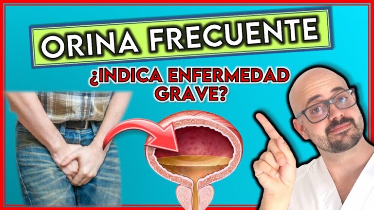 Beber Mucha Agua y Orinar Mucho: Beneficios, Causas y Consejos ...