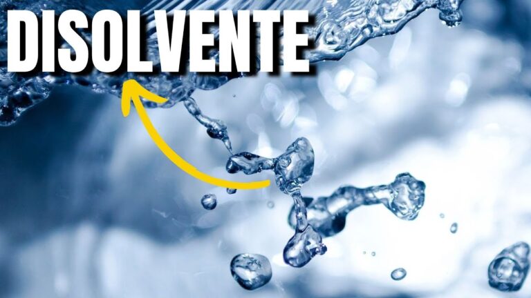 ¿Qué tipo de solvente es el agua? Descubre sus propiedades y funciones ...
