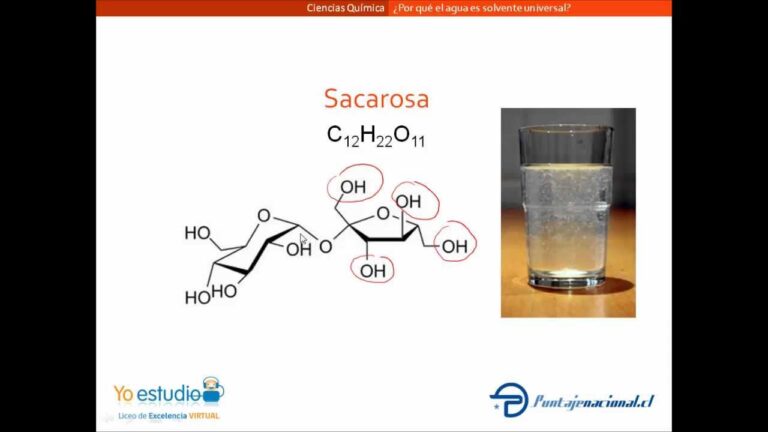 El Agua como Disolvente Universal: Propiedades, Importancia y Usos ...