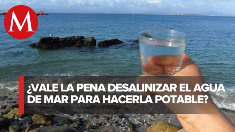 ¿Para qué se utiliza el agua salobre? Descubre sus aplicaciones y ...
